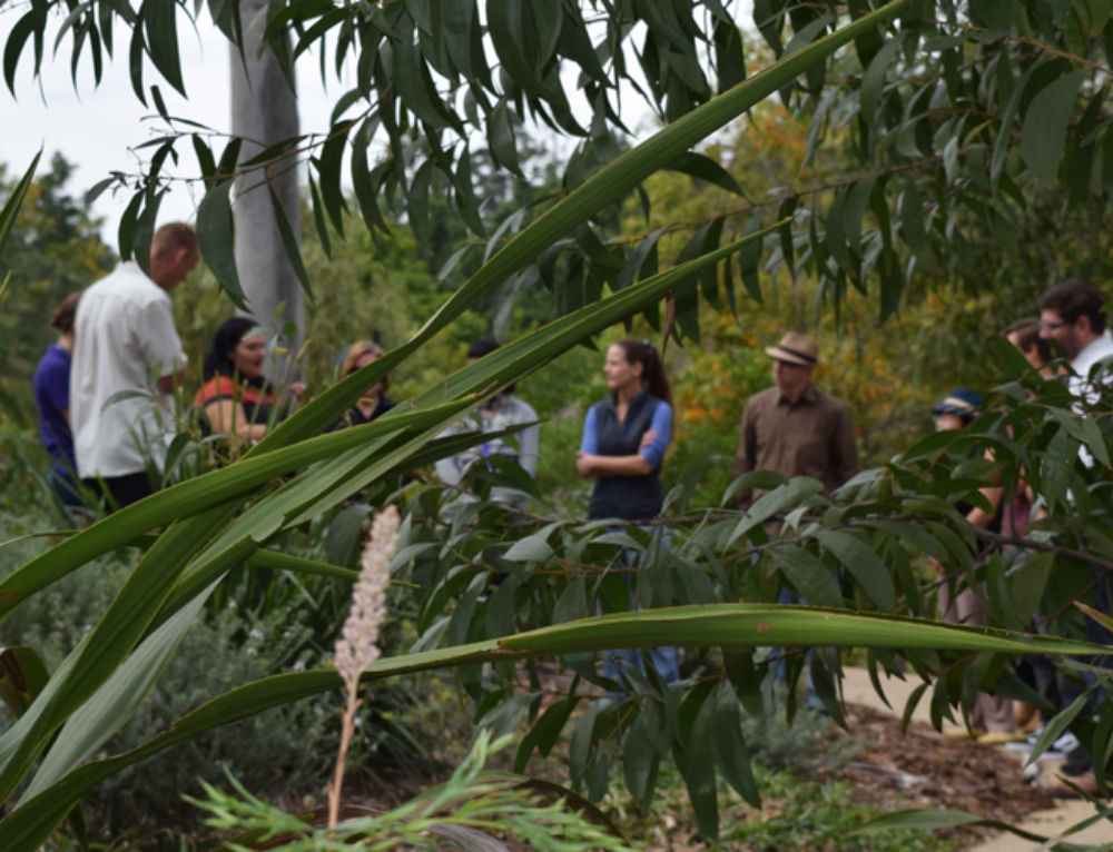 (AU) UTS Green Roof Tour – Australasian Campuses Towards Sustainability ...