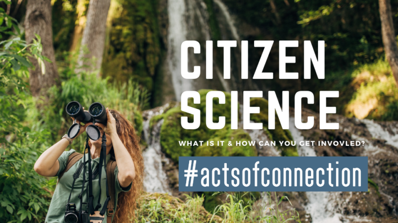 Citizen science: What is it and how can you get involved ...